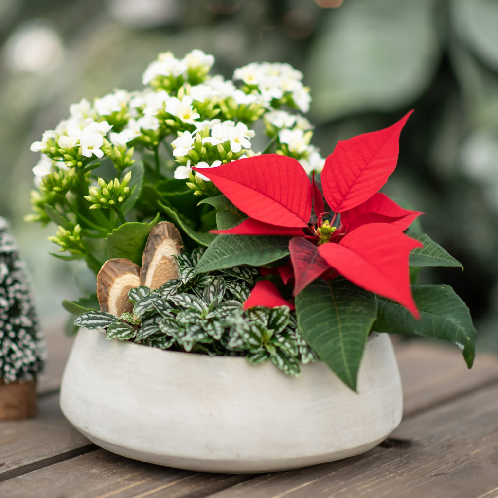 Products - West Coast Floral